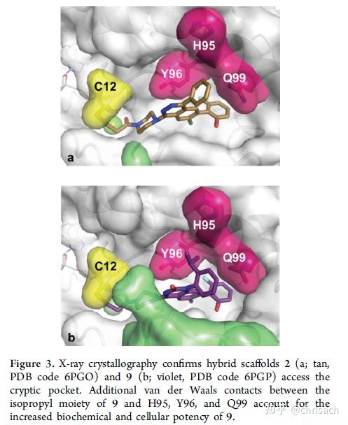 实体瘤共价抑制剂Sotorasib（AMG510）的发现及优化过程 - 知乎