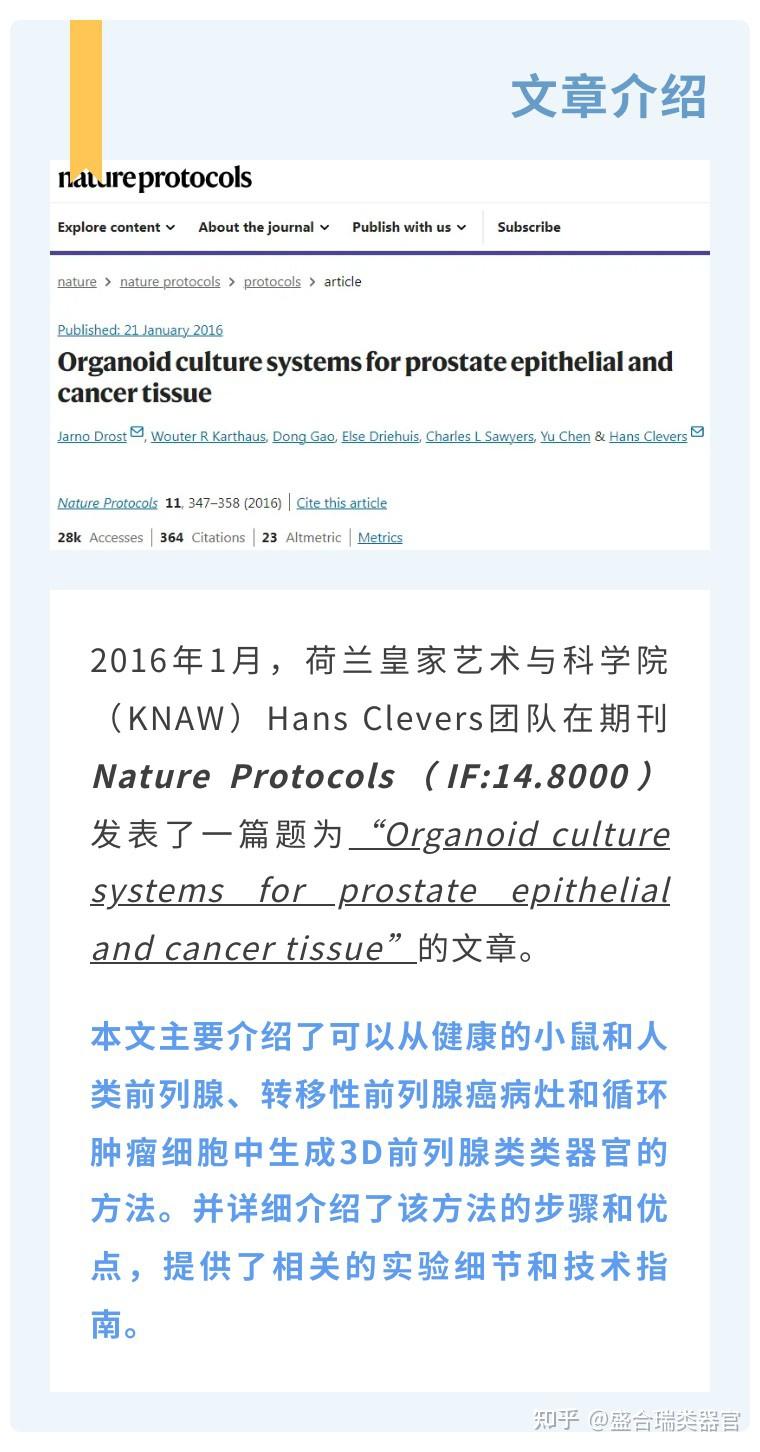 Nature Protocols：前列腺上皮和癌组织的类器官培养系统（下） - 知乎