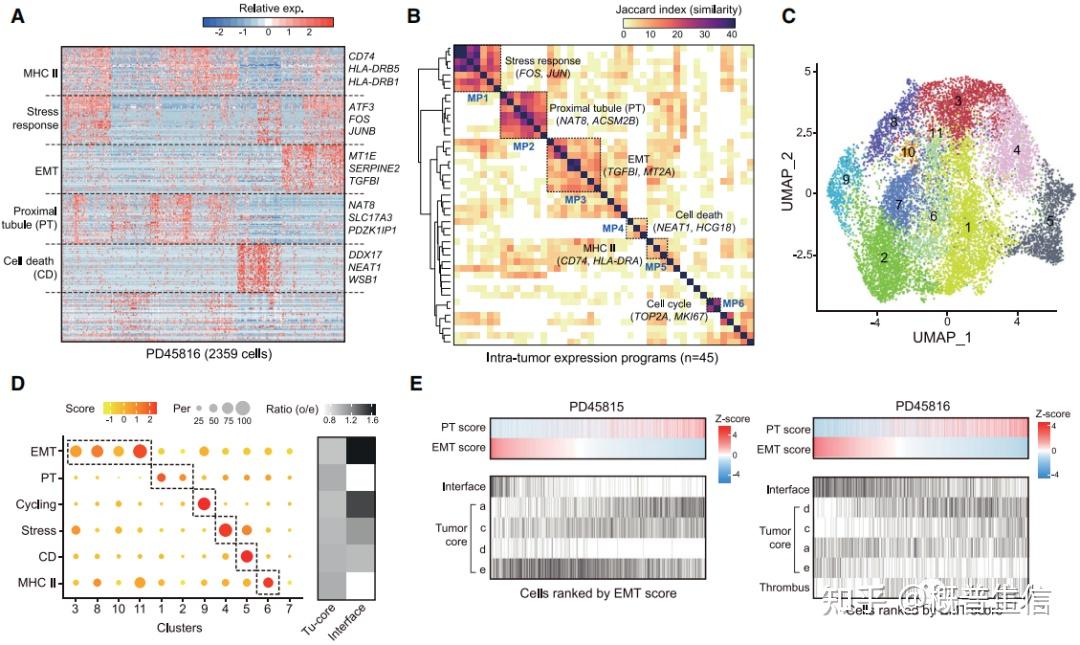 SCI 热门分享| 单细胞转录组联合空间转录组 - 知乎