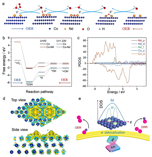 Nd掺杂Co催化OER和ORR（d-f轨道耦合，OER过电位288 mV，ORR起始电位1.03 V、半波电位0.85 V） - 知乎