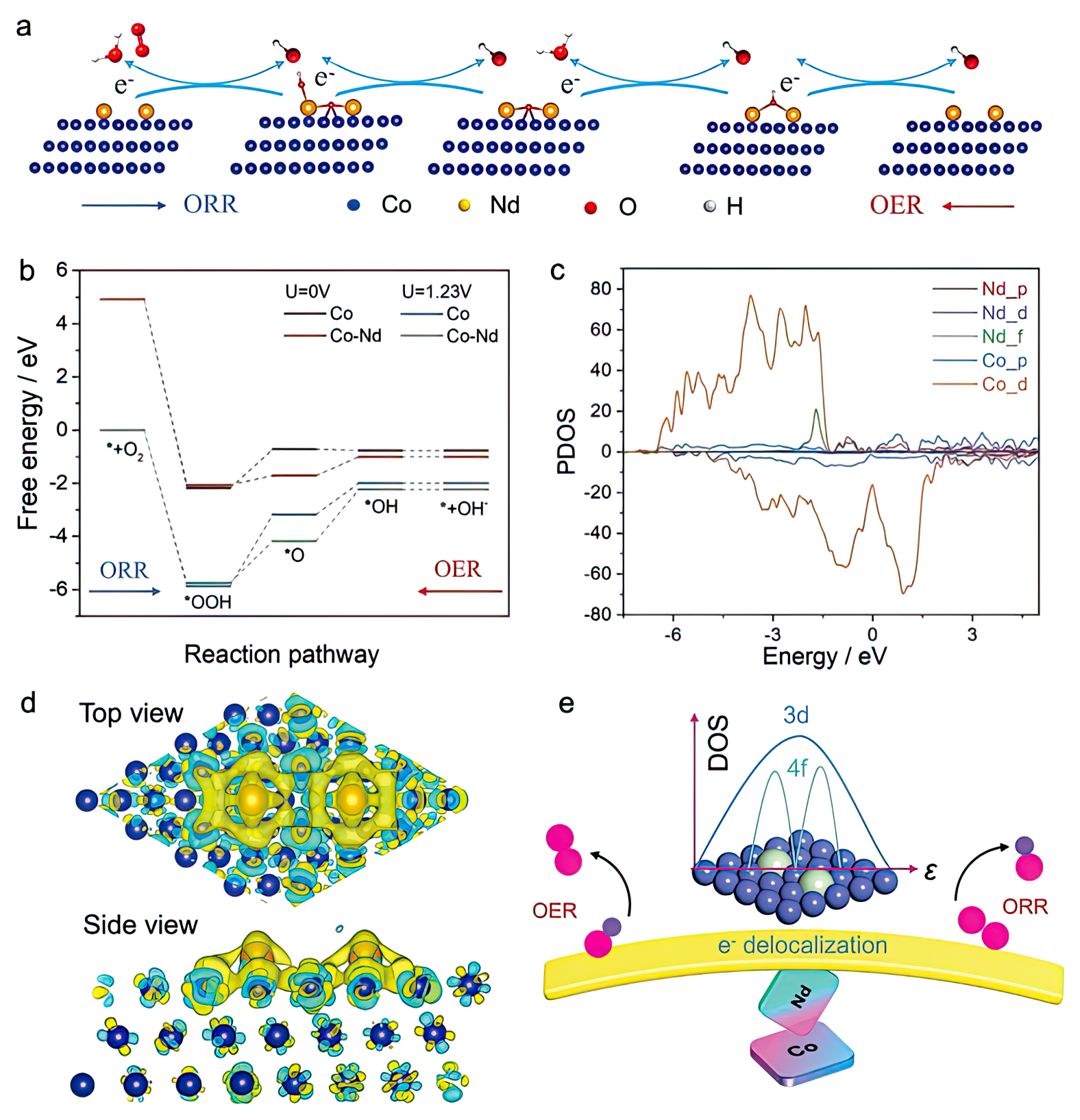 Nd掺杂Co催化OER和ORR（d-f轨道耦合，OER过电位288 mV，ORR起始电位1.03 V、半波电位0.85 V） - 知乎