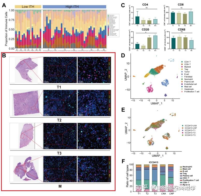 Tissue Cytometry技术联合多组学测序揭示ICC肿瘤异质性与新型免疫表型分类 - 知乎
