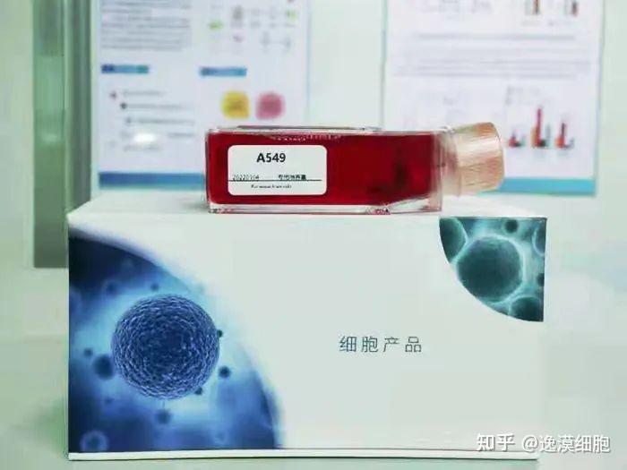 A549细胞培养的小技巧 - 知乎