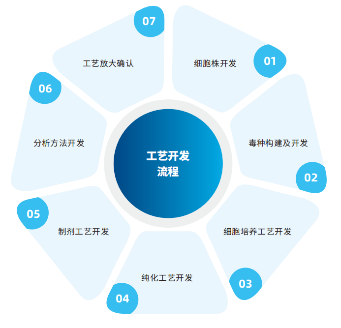 大规模AAV载体CDMO - 知乎