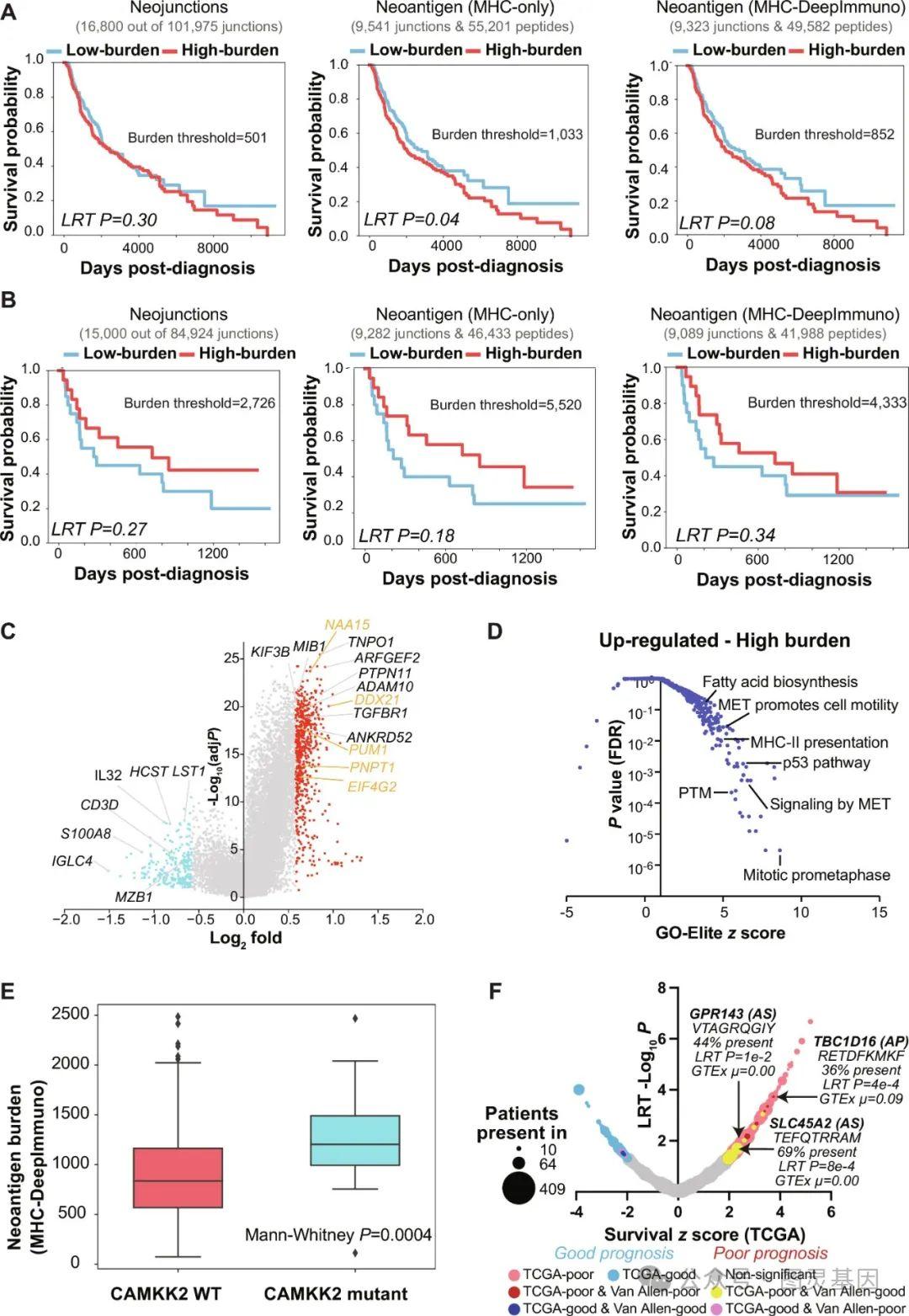 Sci Tra Med | SNAF识别用于免疫治疗的剪接新抗原靶点 - 知乎