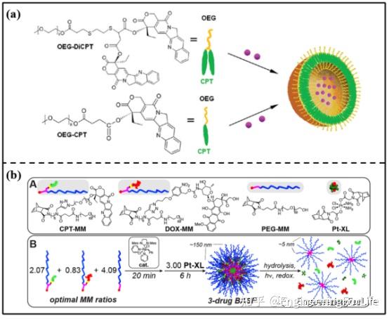 《AHM》综述：药物自给药系统--分子设计、构建策略及生物应用 - 知乎