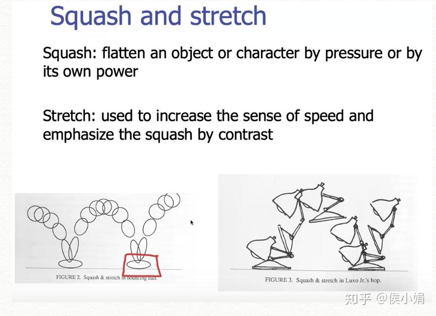 Squash and stretch - 知乎