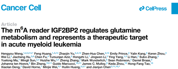 Cancer Cell | 揭示m⁶A读码器IGF2BP2在急性髓系白血病中的调节机制 - 知乎