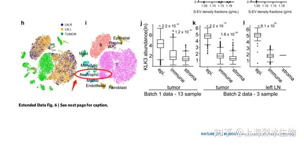 【管中窥豹】单细胞的围城中，中性粒细胞如何破局？ - 知乎
