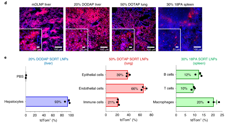 Nat. Nanotechno. | Selective organ targeting (SORT) nanoparticles for ...