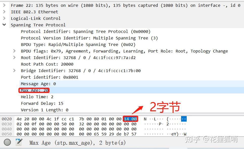 MSTP报文格式 - 知乎