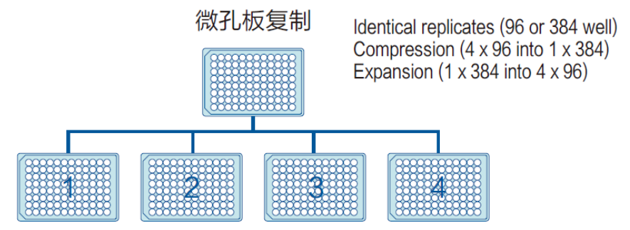 QPix 400 系统在噬菌体展示中的应用 - 知乎