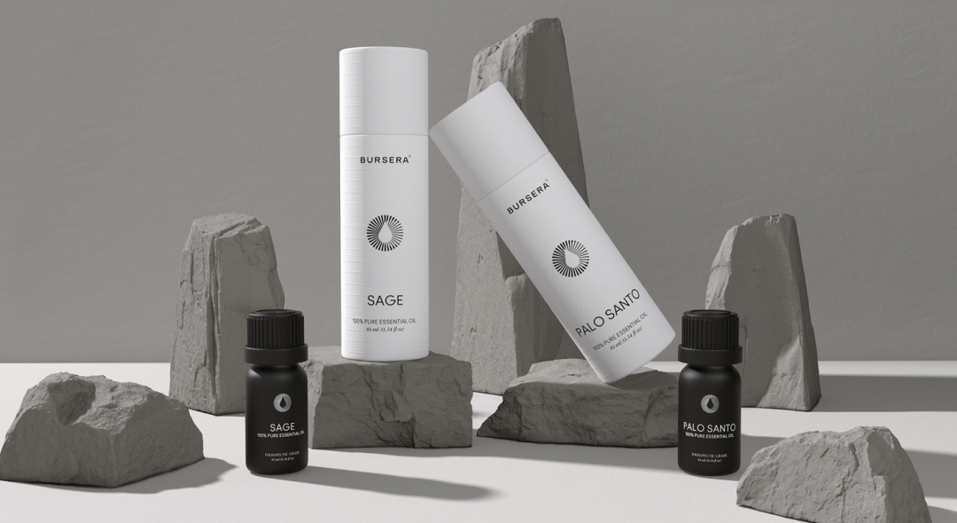 案例分享|有创意的VI设计，让人一眼就能记住品牌 - 知乎