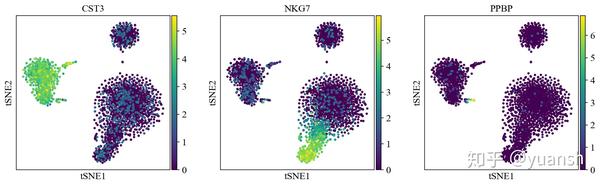 （单细胞-SingleCell）Scanpy流程——python 实现单细胞 Seurat 流程 - 知乎