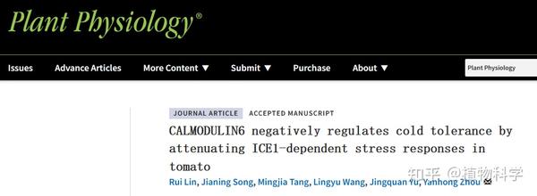 浙江大学周艳虹课题组揭示钙调蛋白CaM6在番茄低温抗性中的作用及机制 - 知乎