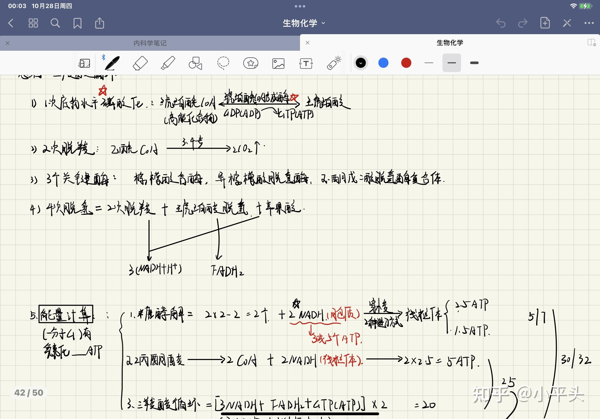 小亮老师手写笔记，Goodnote版本可修改！！！ - 知乎