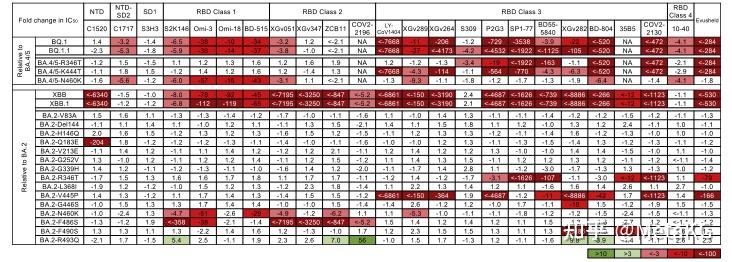 BQ.1、BQ.1.1、XBB 、 XBB.1 ：迄今为止最具耐药性的SARS-CoV-2 变异株 - 知乎