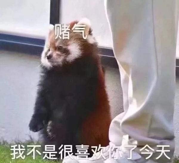 【西皮滴滴（cpdd）篇】cpdd，你是唯一，绿我可以，演我不行，生不见面，死不奔现，只接语音，不接视频 - 知乎