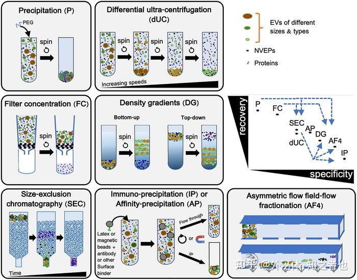 MISEV 2023|超详细解读第2期|EVs分离和表征 - 知乎