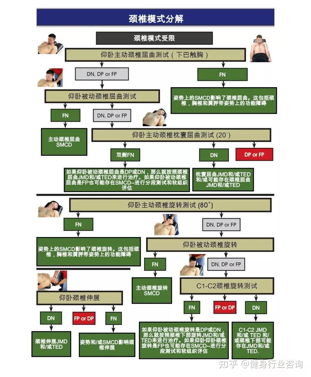 康复治疗师如何运用选择性功能动作评估SFMA（流程图）-康复治疗师和体能训练师必备技能 - 知乎