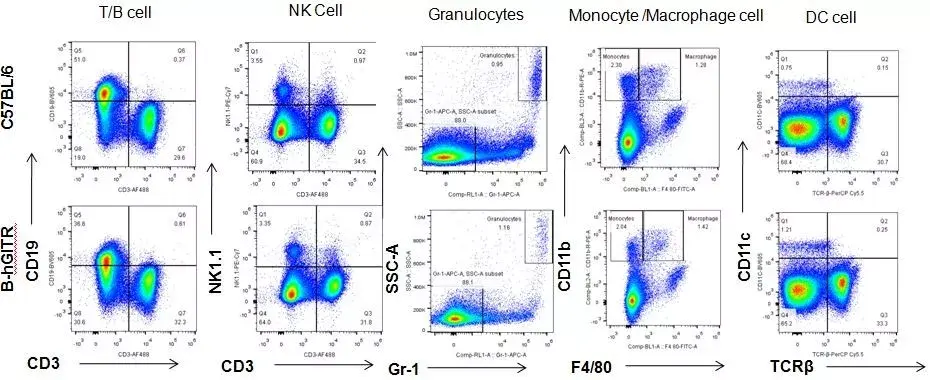 TNF受体超家族成员GITR共刺激免疫检查点分子 - 知乎
