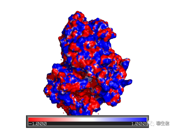 遗传突变 | 正常与突变蛋白三维结构模型的绘制与分析 - 知乎