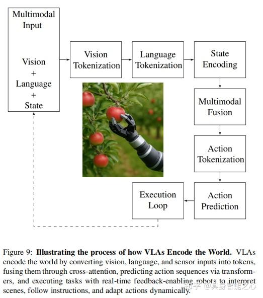 VLA模型最新综述！近80多个VLA 模型，涉及架构、训练，实时推理等 - 知乎
