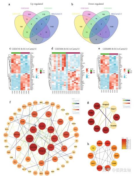 非肿瘤线粒体代谢基因集结合免疫生信分析+实验验证发8分+SCI - 知乎