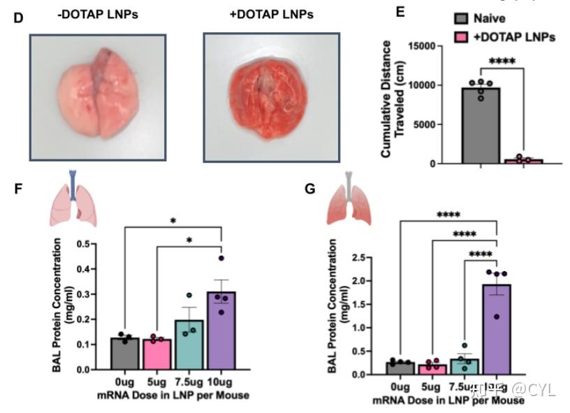 【文献翻译】脂质纳米粒的肺靶向物理化学诱导凝血：机制和解决方案 - 知乎