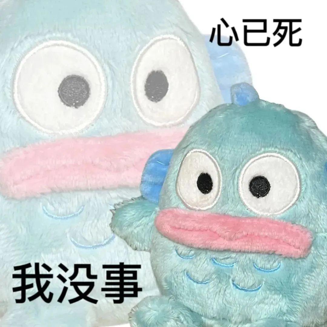 500张最近热门的表情包！持续更新 - 知乎