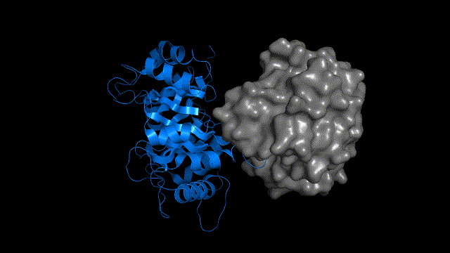 Pymol_movie - 知乎