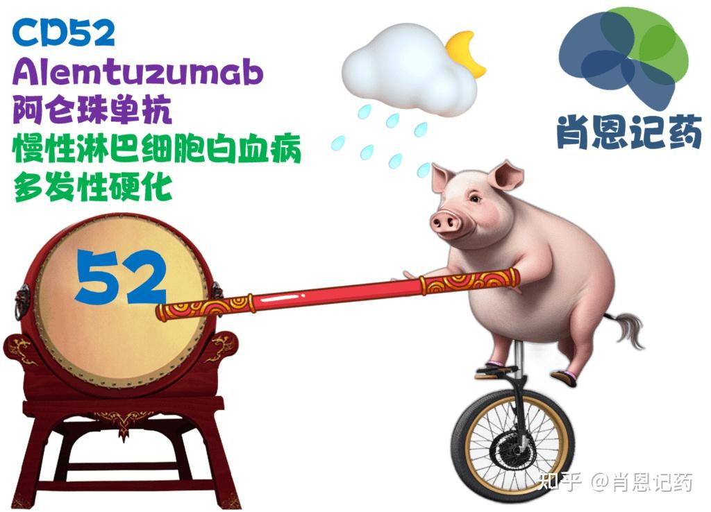 记住所有FDA生物药 | 靶向CD52 | Alemtuzumab 阿仑珠单抗 | 慢性淋巴细胞白血病、多发性硬化 - 知乎
