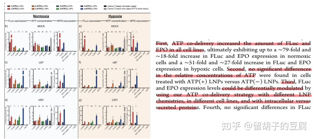 共递送ATP提升mRNA-LNP细胞内蛋白表达水平数十倍 - 知乎