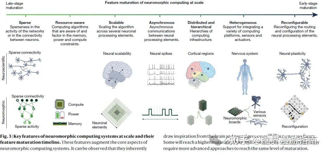 类脑芯片最近有点安静：冷场背后，谁在坚持破局？ - 知乎