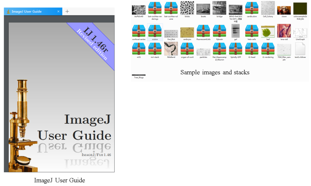 如何用ImageJ做出这种酷炫动画 - 知乎