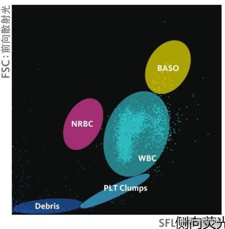 Sysmex-XN系列血细胞分析仪-白细胞散点图 - 知乎