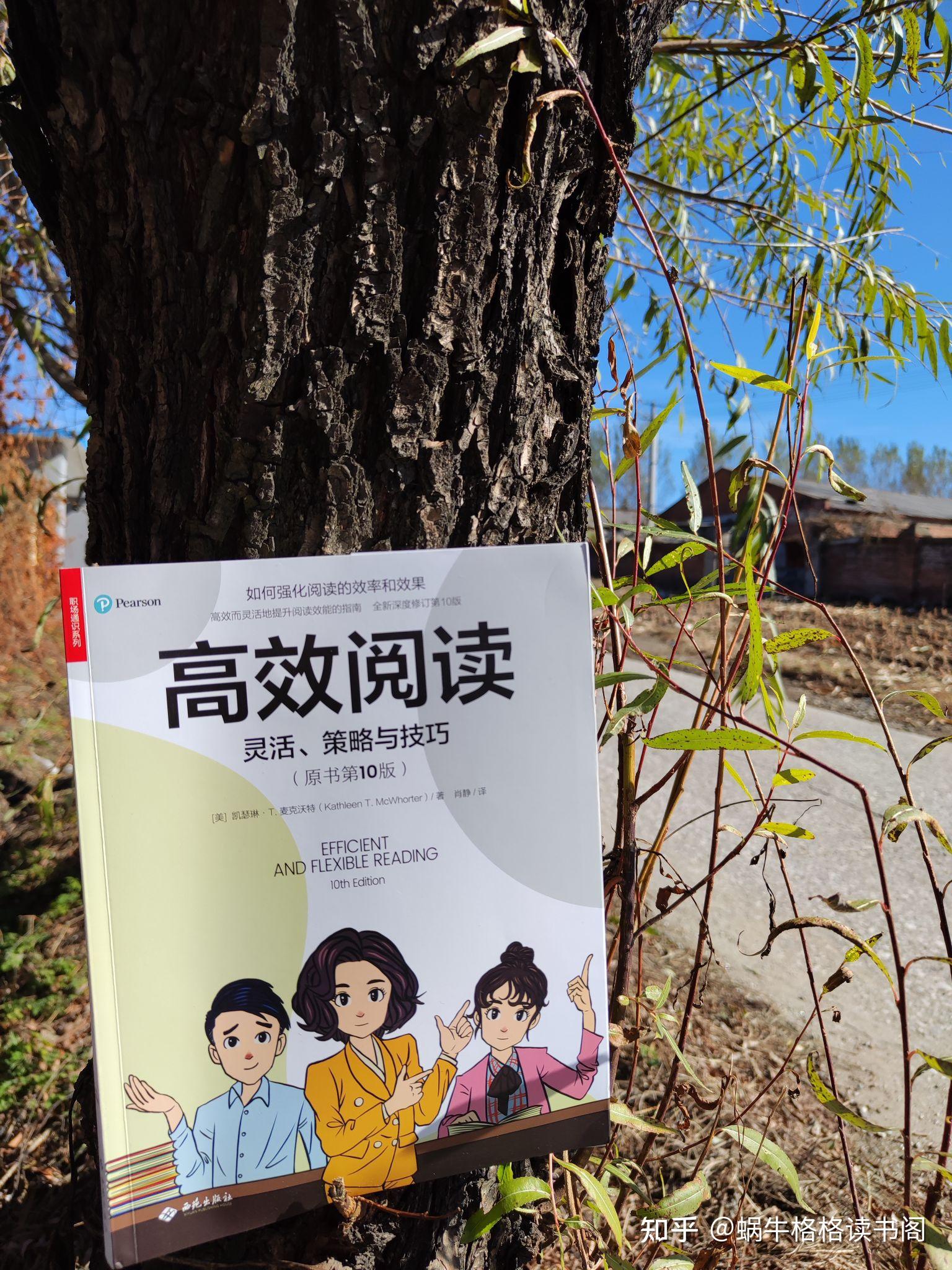 读《高效阅读:灵活、策略与技巧》让阅读更轻松 知乎