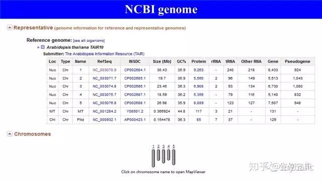 生信软件系列 - NCBI使用 - 知乎