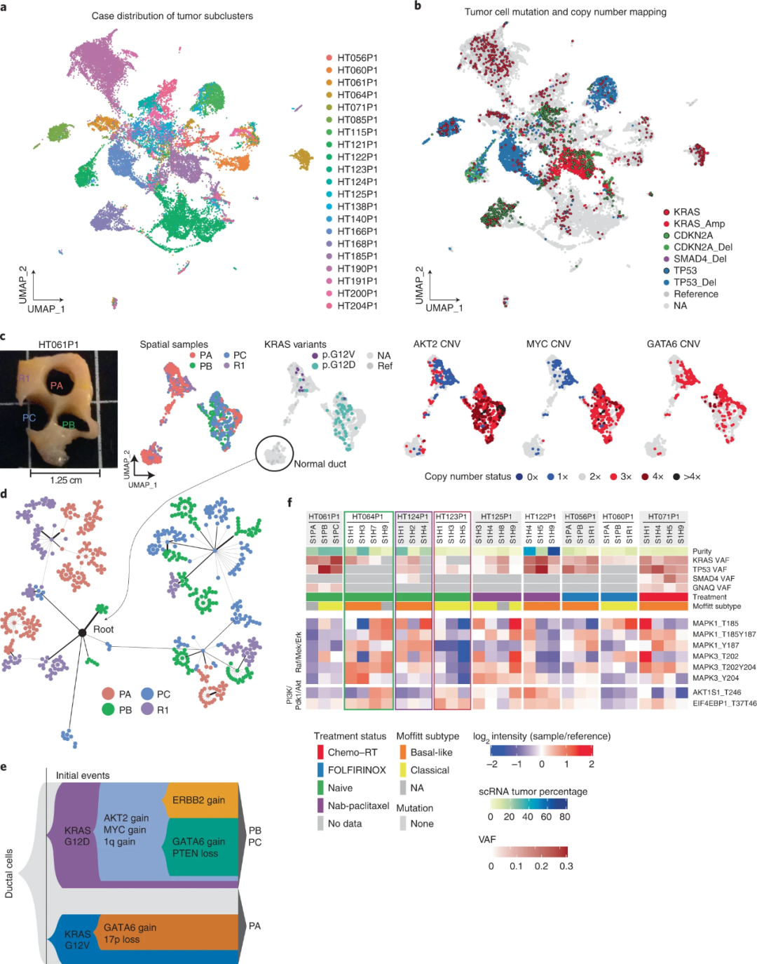 Nat Genetics | 胰腺癌肿瘤图谱网络连续动图揭示微环境与细胞亚群作用 - 知乎