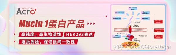【靶点聚焦】——多癌症热门靶点：Mucin 1 - 知乎
