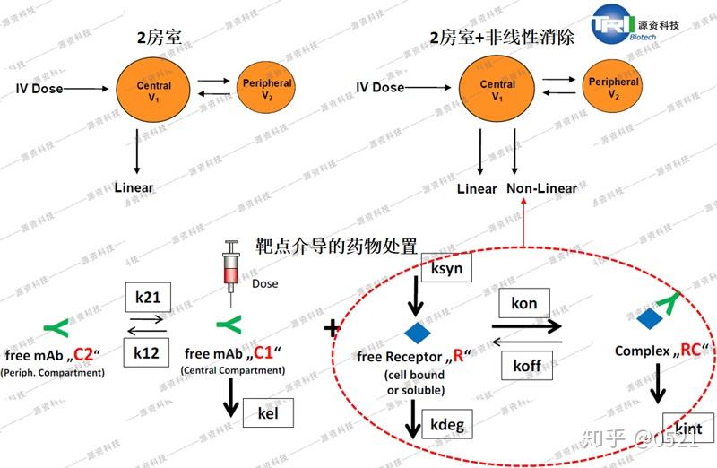 PML系列（2）：靶点介导的药物处置模型（TMDD） - 知乎
