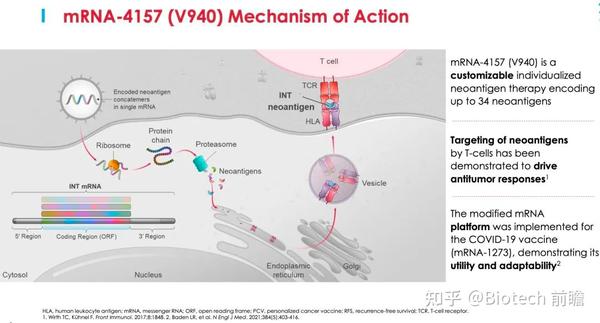 mRNA肿瘤疫苗+K药丨默沙东启动黑色素瘤、肺癌III期临床 - 知乎