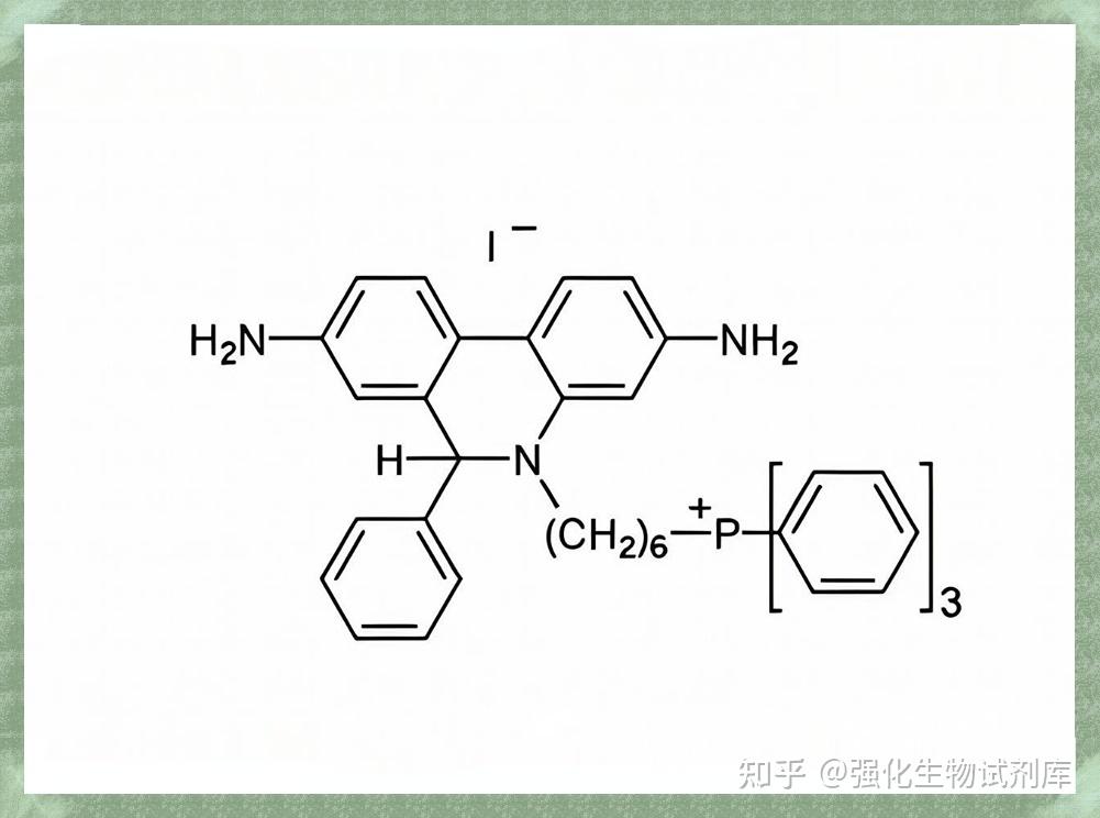 MitoSOX Red Mitochondrial Superoxide Indicator使用方法 - 知乎
