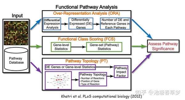GSEA论文讲解（Gene set enrichment analysis） - 知乎