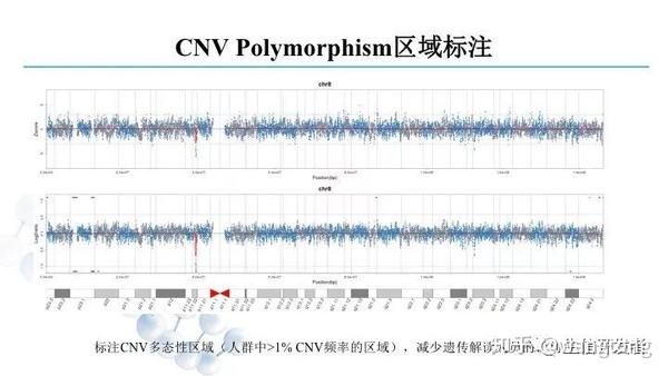CNV数据分析 - 知乎