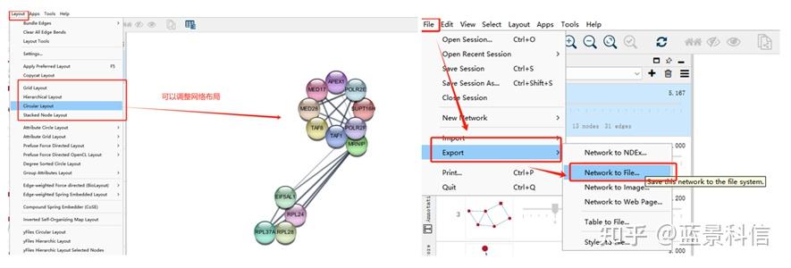 Cytoscape-基础使用手册 - 知乎