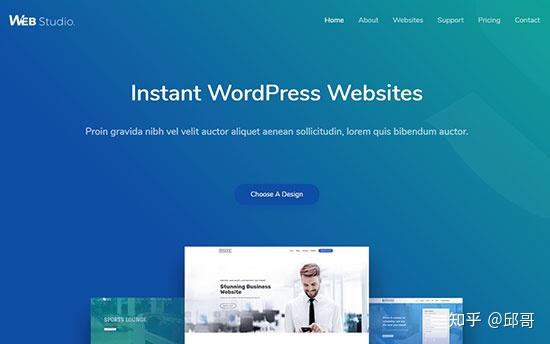 bbPress 的 21 个最佳 WordPress 主题 - 知乎