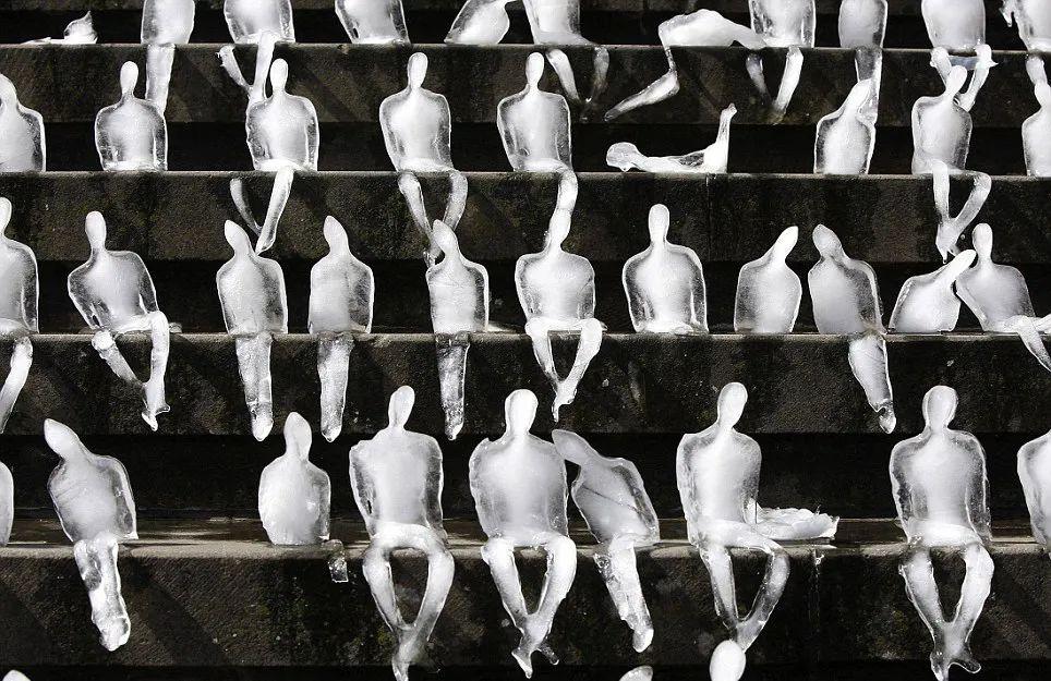 装置艺术｜生物与生态的艺术之旅 - 知乎