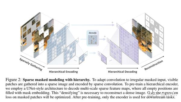 论文阅读 DESIGNING BERT FOR CONVOLUTIONAL NETWORKS: SPARSE AND HIERARCHICA MASKED MODELING - 知乎