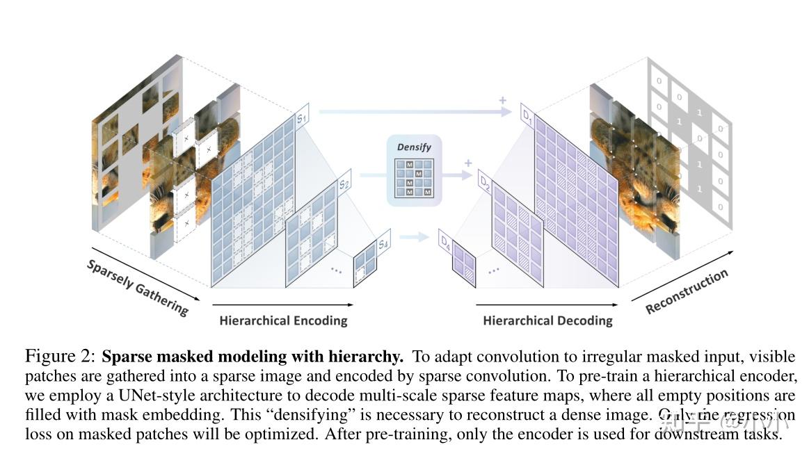 论文阅读 DESIGNING BERT FOR CONVOLUTIONAL NETWORKS: SPARSE AND HIERARCHICA MASKED MODELING - 知乎